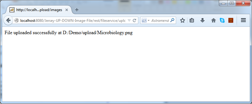 Jersey 2 X Web Service For Uploading Downloading Image File Java Client Benchresources